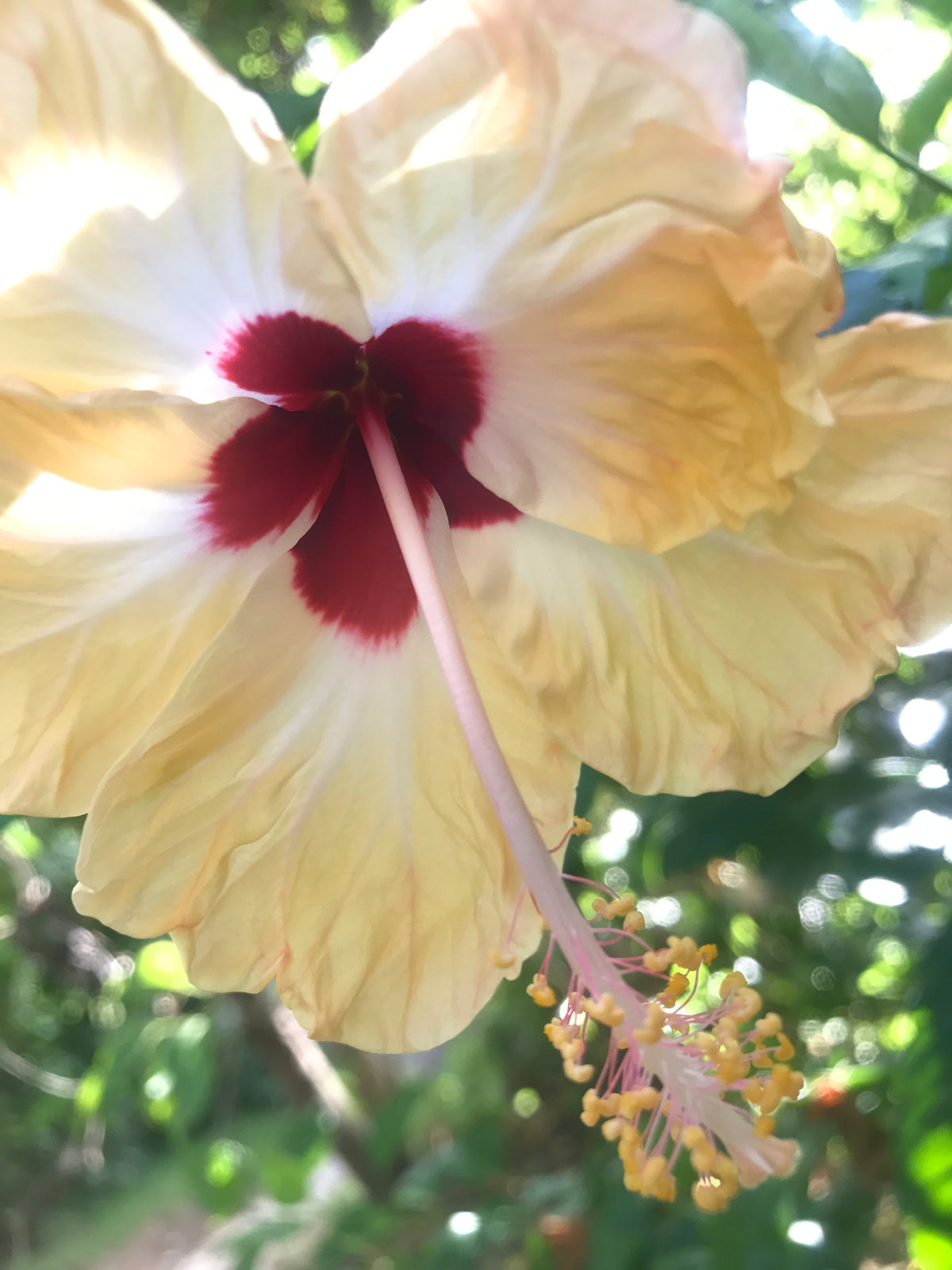 Blessings at Strawberry Field